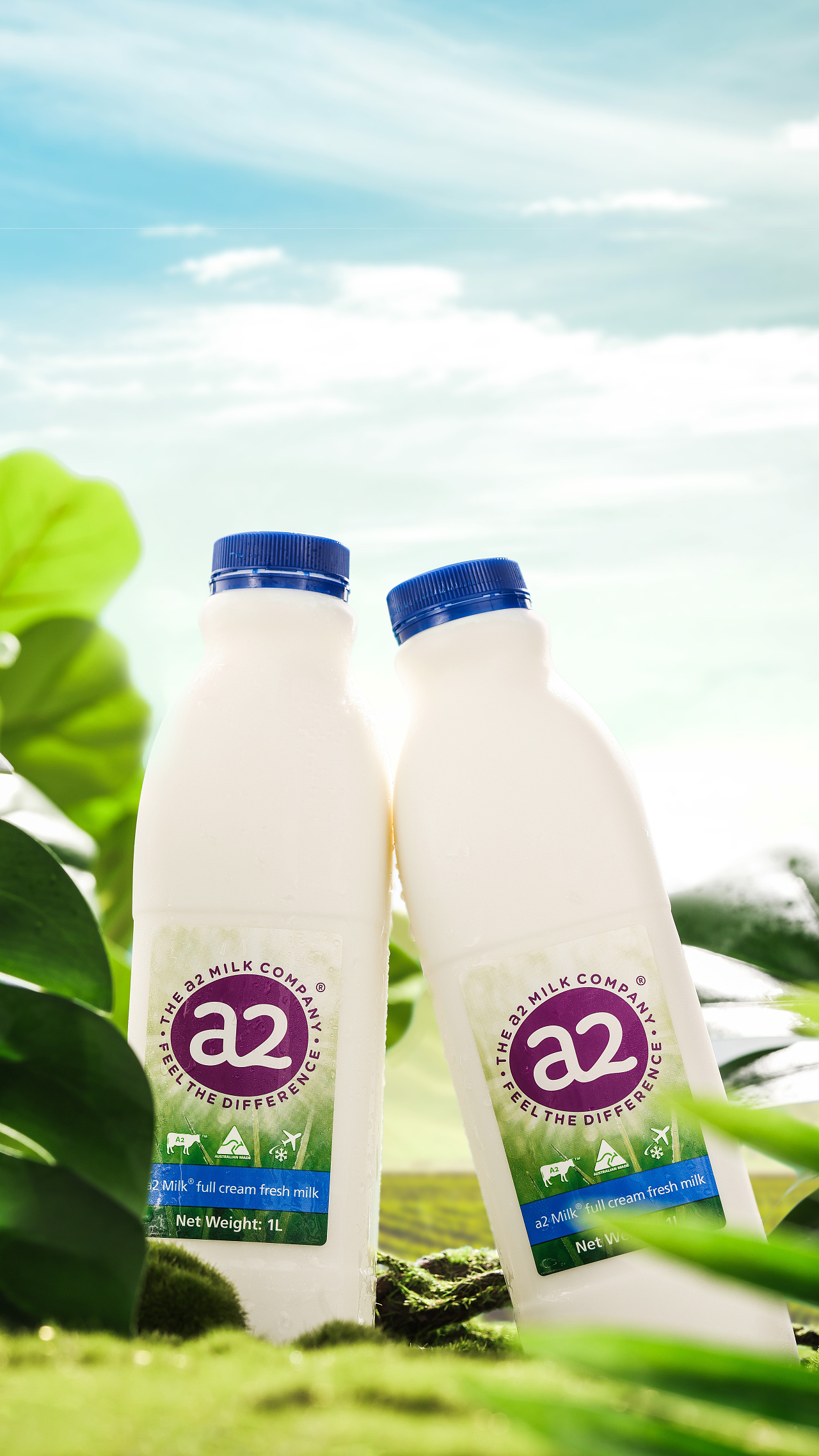 a2鲜奶合集_隐九霄-站酷ZCOOL