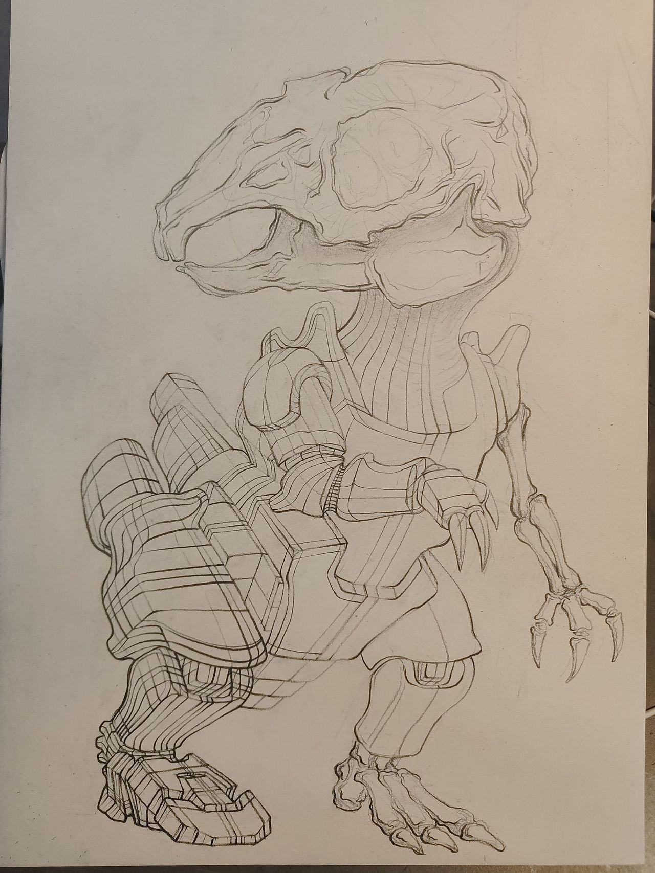 《兔》_Darz_V-站酷ZCOOL