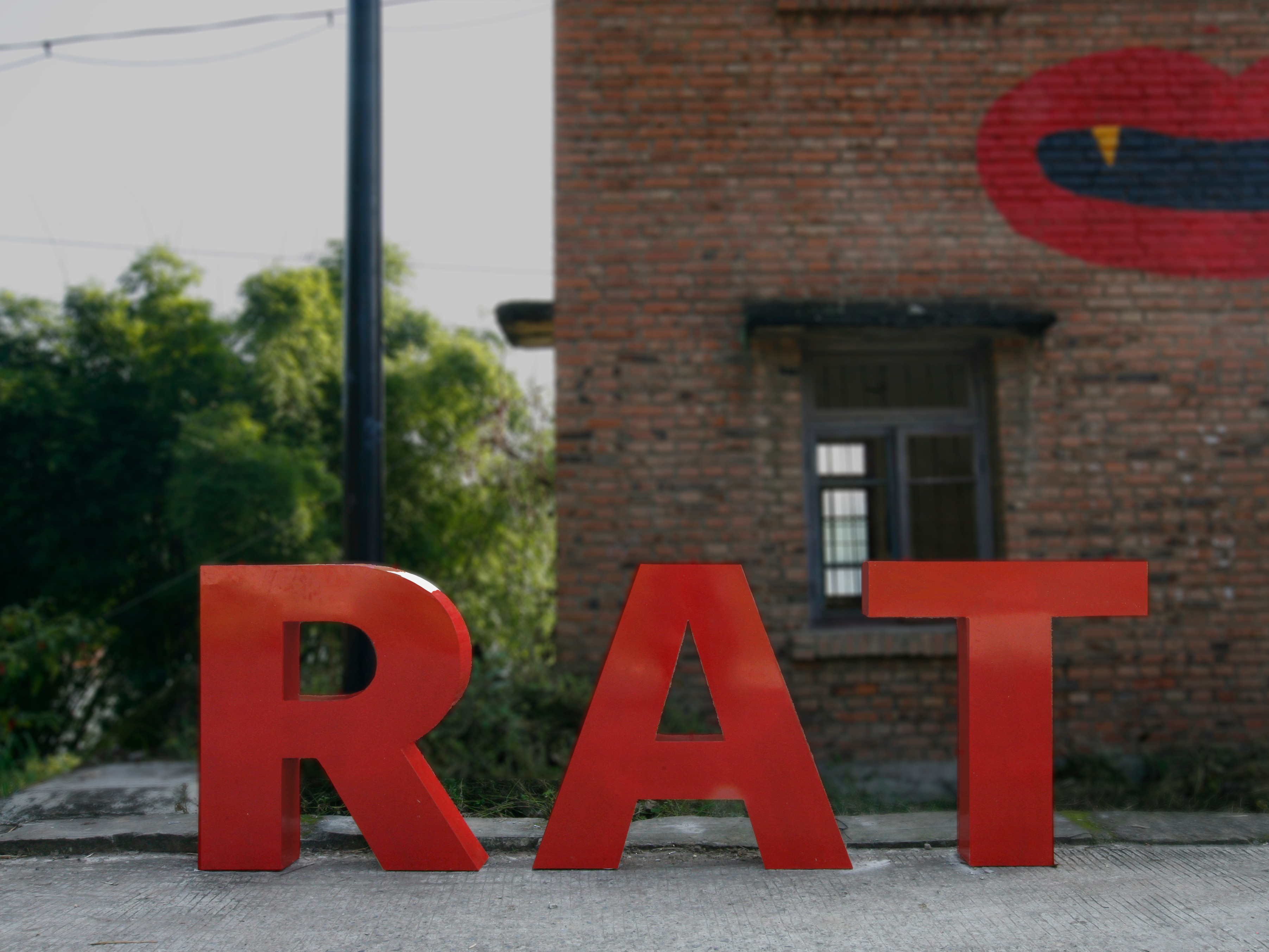 RAT_王维思-站酷ZCOOL