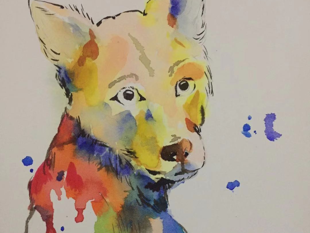 还记得杭州狗子事件么_偲妮子_chinese-站酷ZCOOL