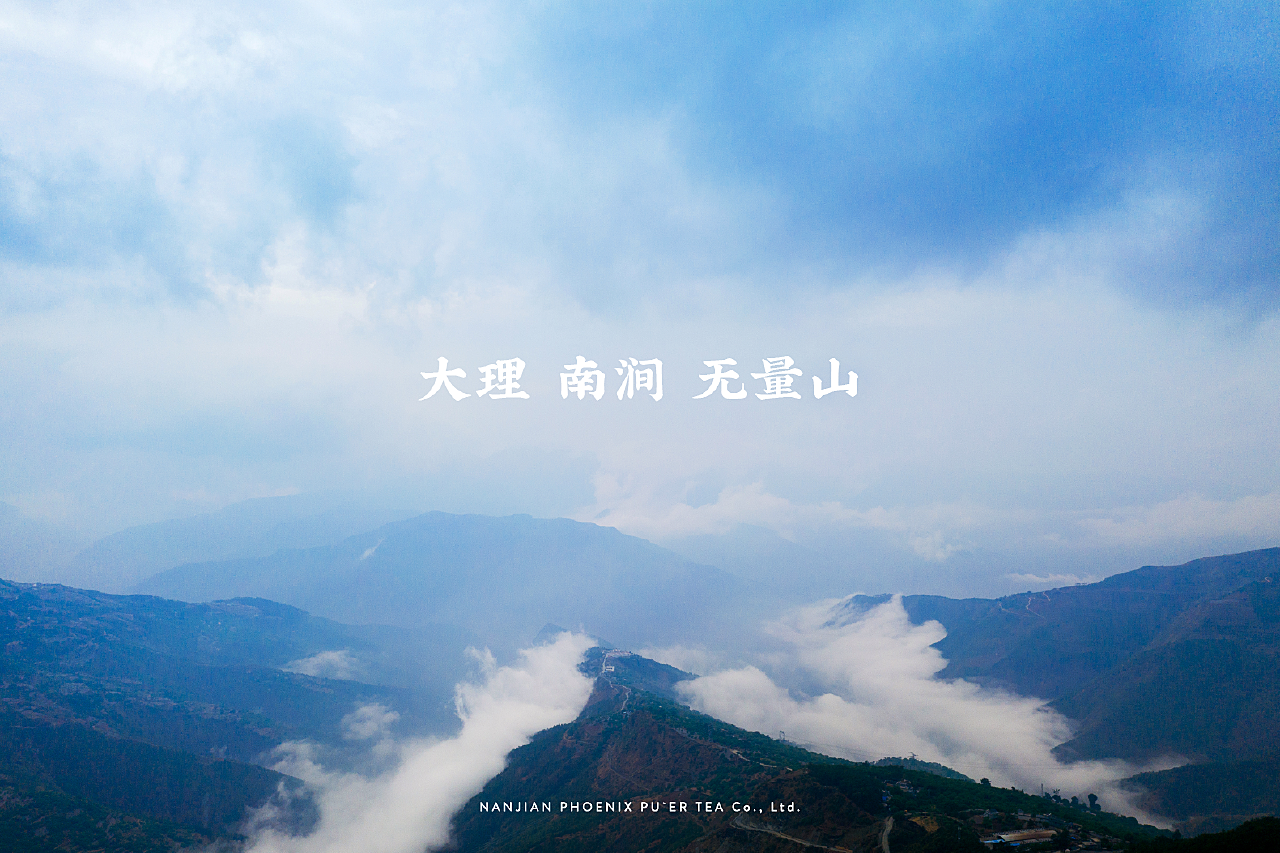 鑫凤凰凤凰沱茶品牌升级and伴手礼包装设计 無非brand 站酷zcool