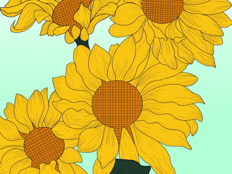 向日葵🌻_善舆惡-站酷ZCOOL