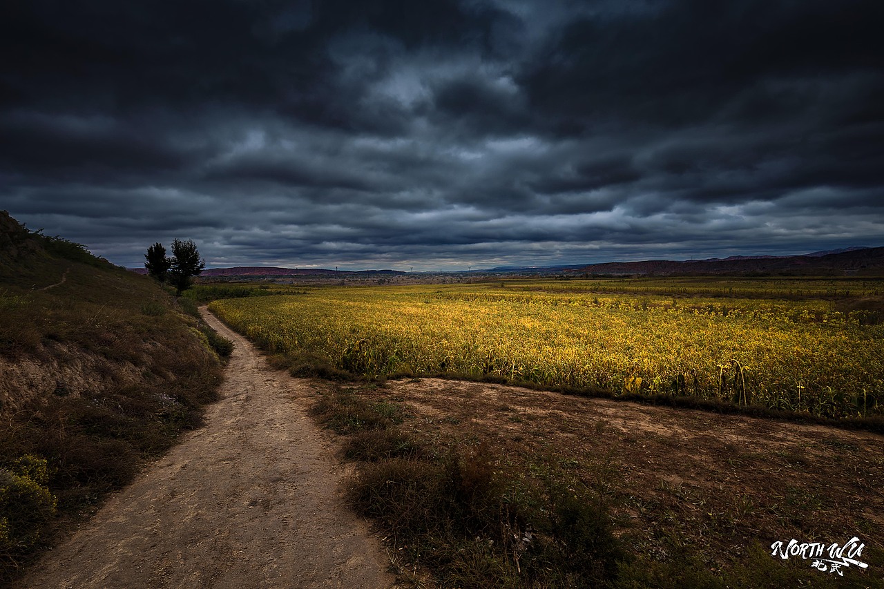 小路/Lane_北武-站酷ZCOOL