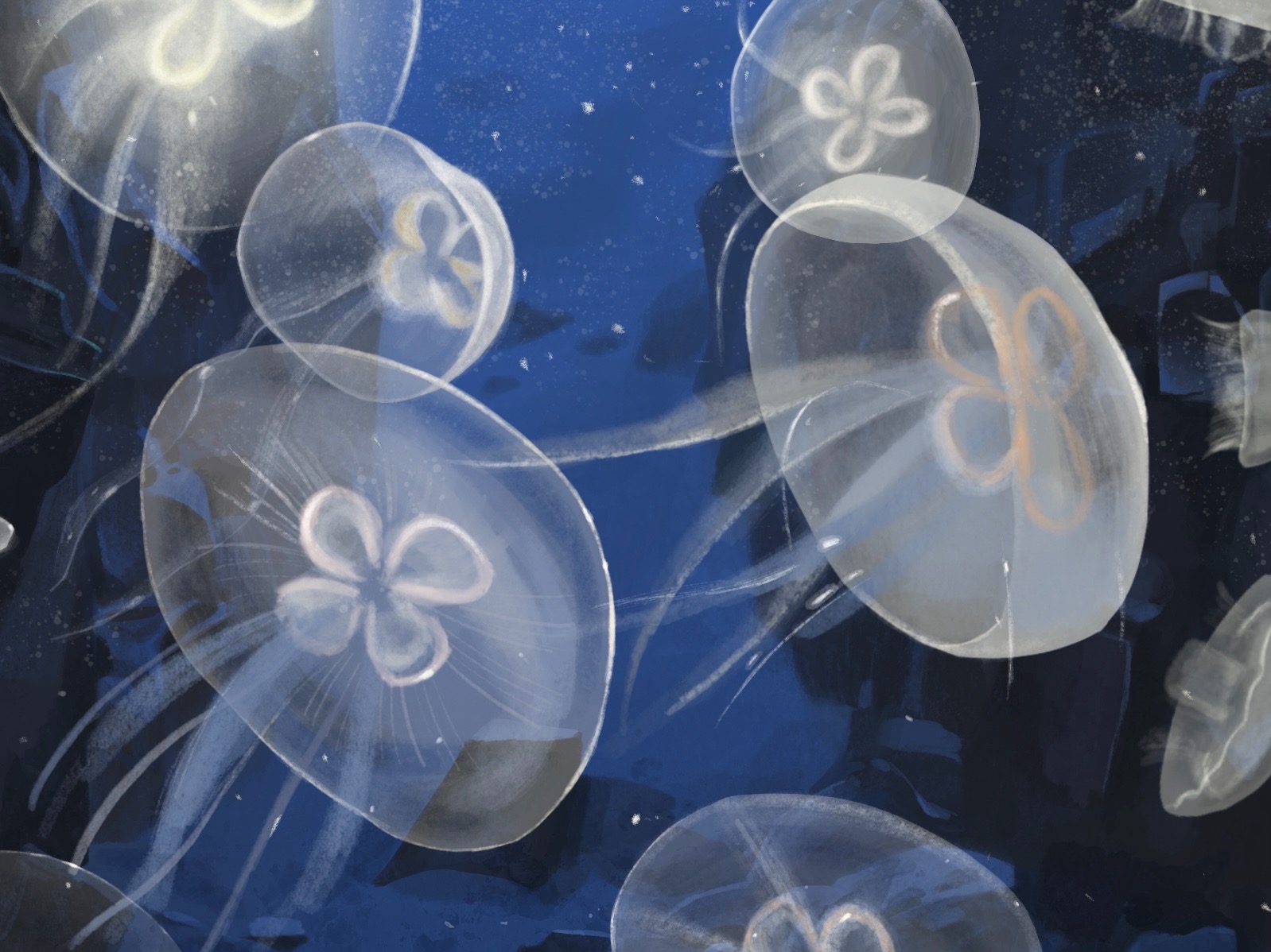 场景，海底_ow蜉蝣wo-站酷ZCOOL