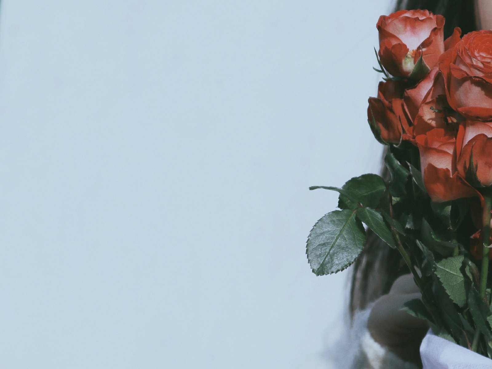 额_essssss-站酷ZCOOL