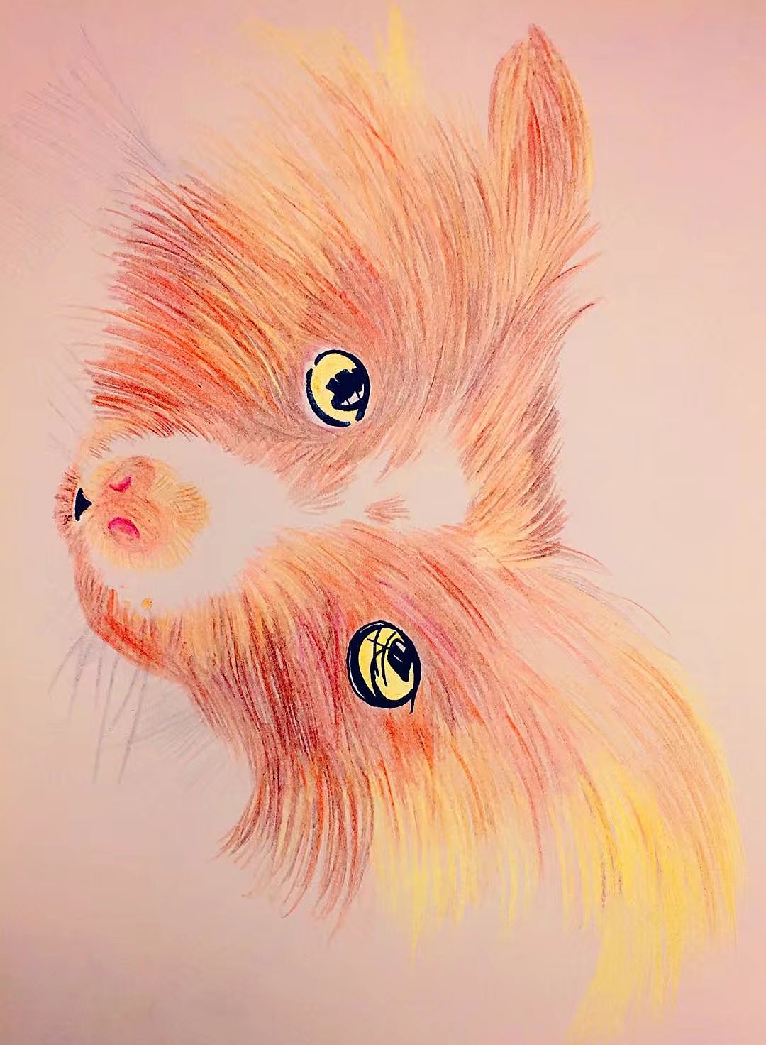 手绘黑白、彩铅习作和小修自拍一张_插画师小修Jewel-站酷ZCOOL