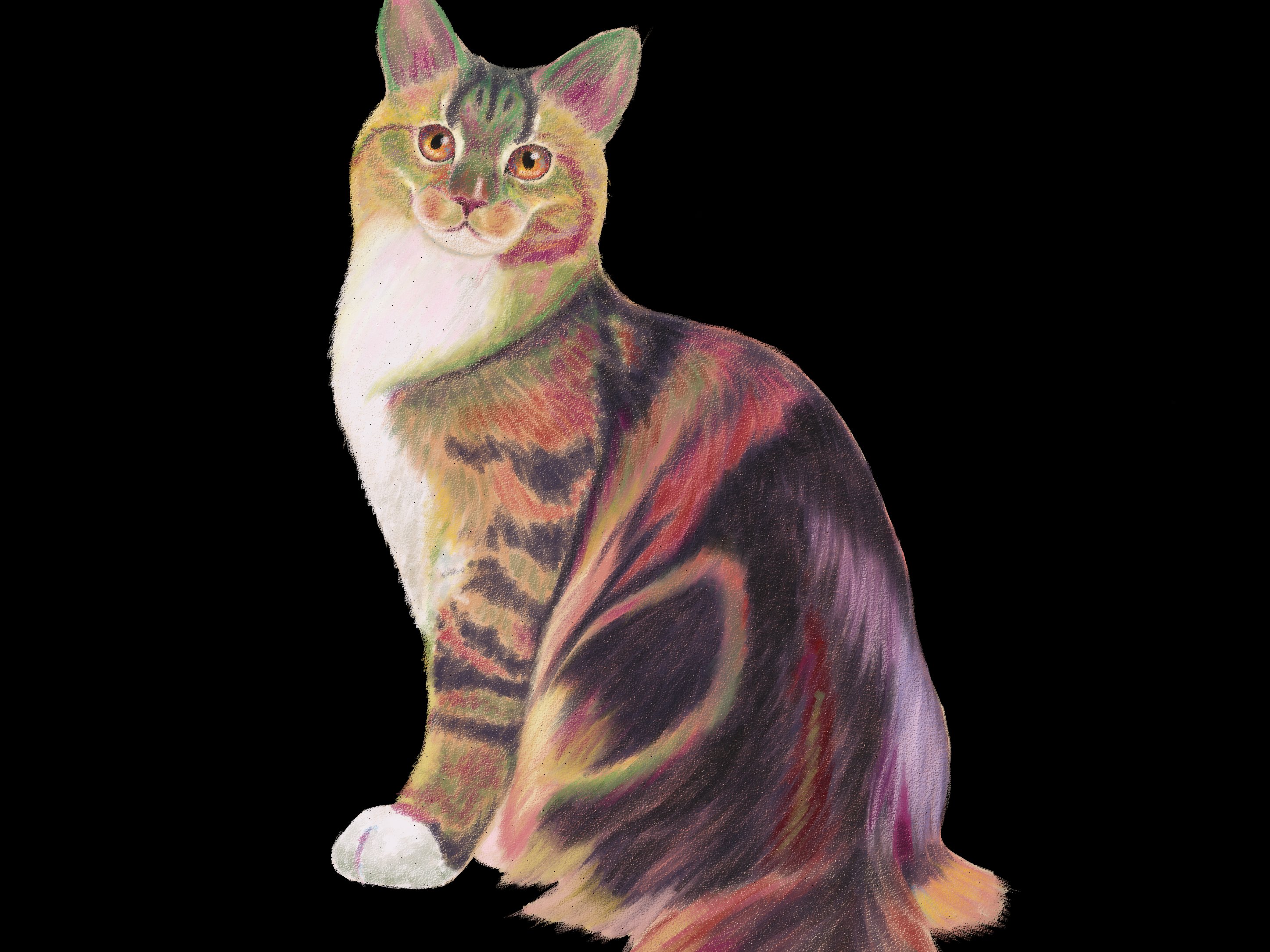 猫 插画_大头町-站酷ZCOOL