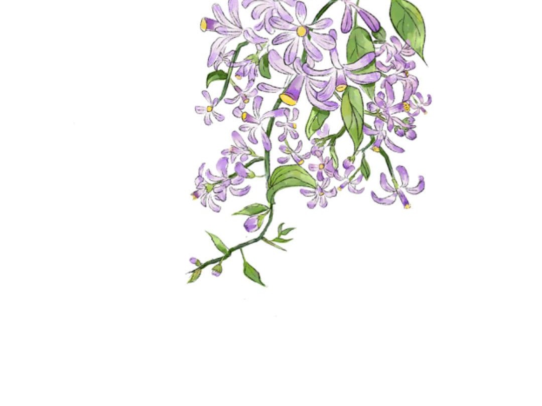 图书插图_霍银-站酷ZCOOL