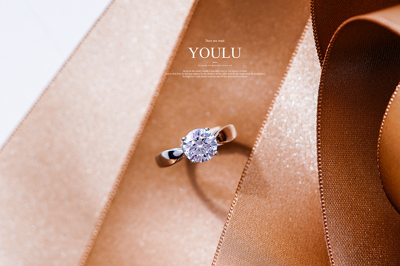 施华洛世奇一_有鹿YOULU-站酷ZCOOL