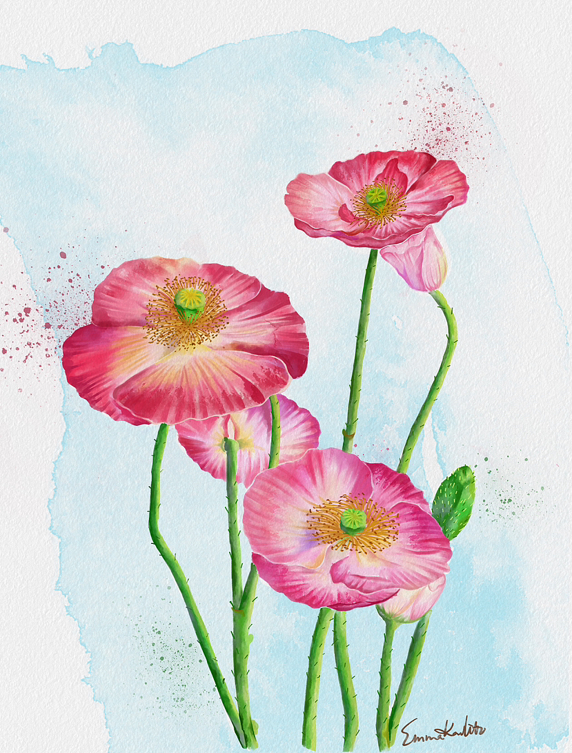 水彩插画/花_丹仔吖-站酷ZCOOL