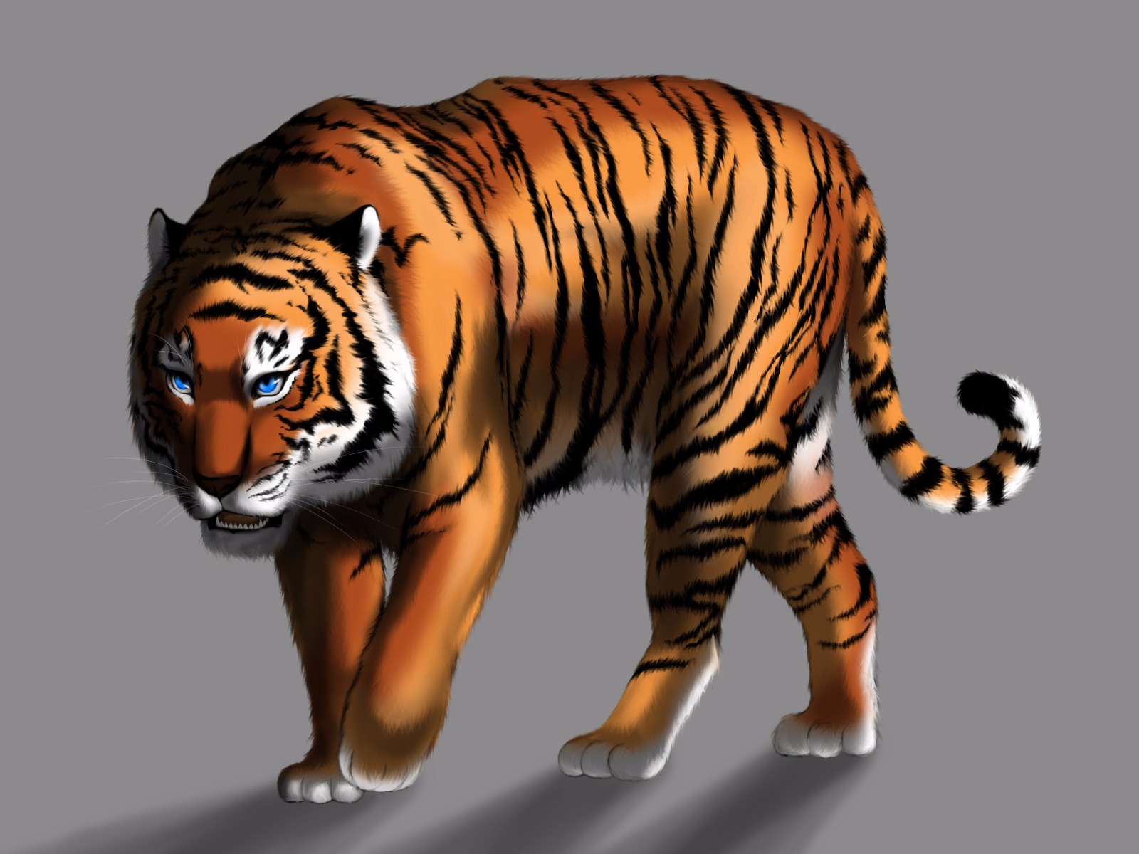 虎_阿飞AFEI-站酷ZCOOL