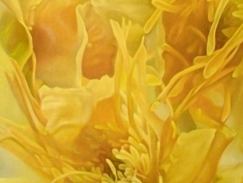 浮生_ZZDS028-站酷ZCOOL