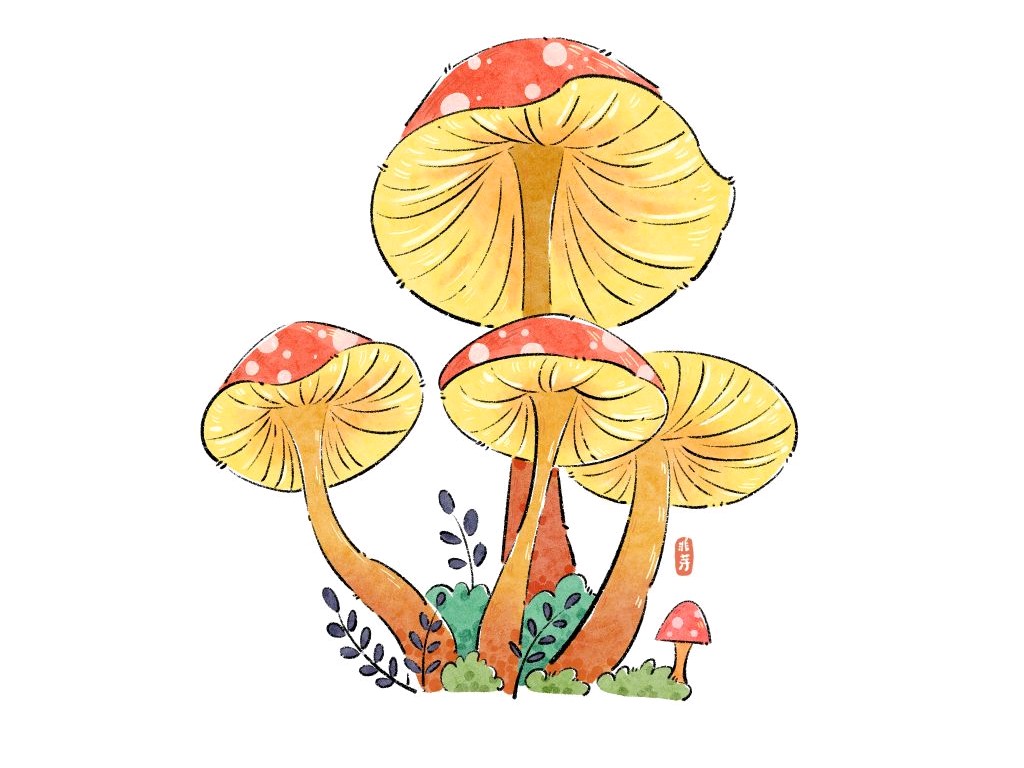 周末忙里偷闲插画练习_非芽Faye-站酷ZCOOL