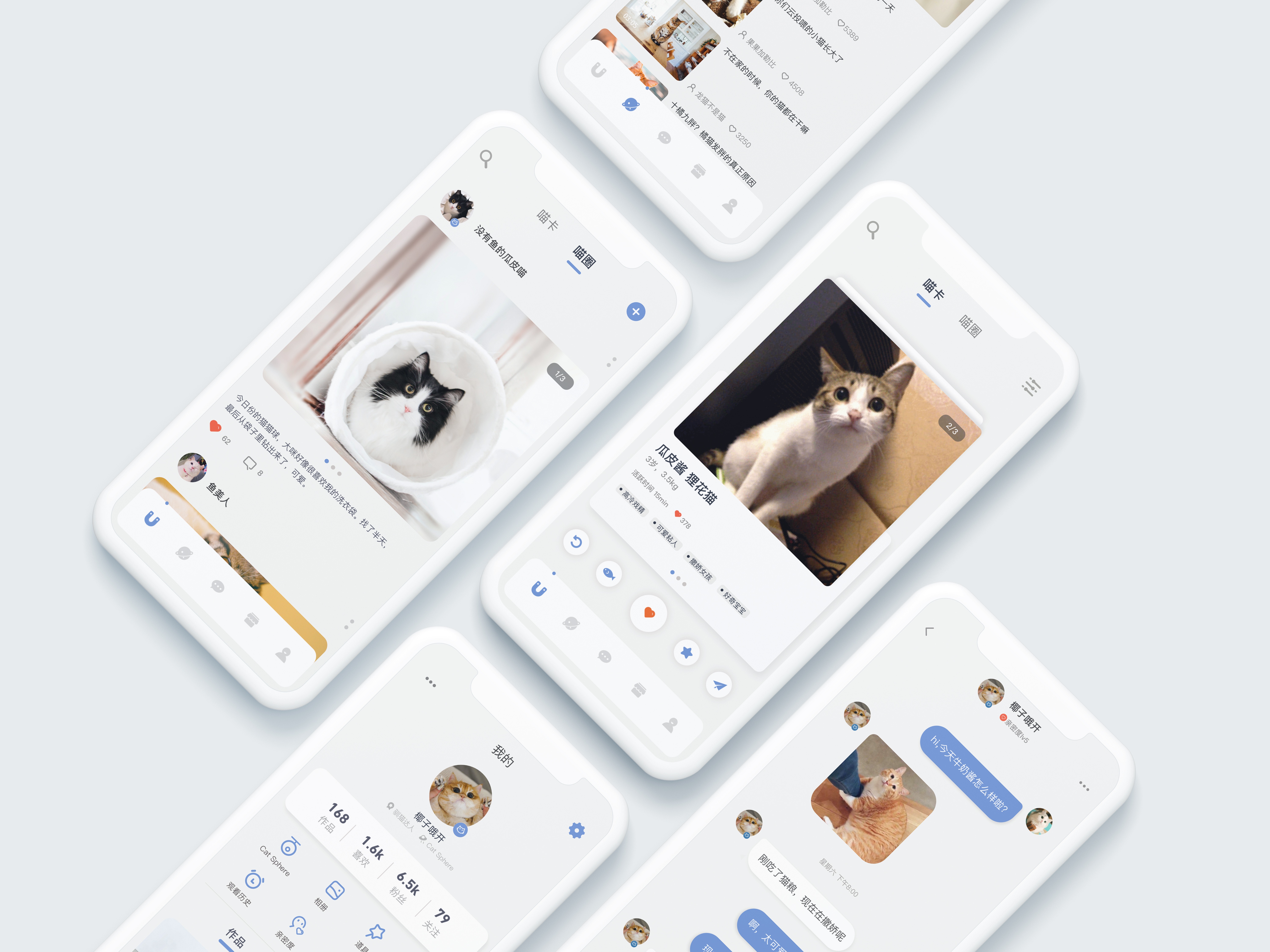 Cat Chat 猫咪社交APP_Cleveland_214-站酷ZCOOL