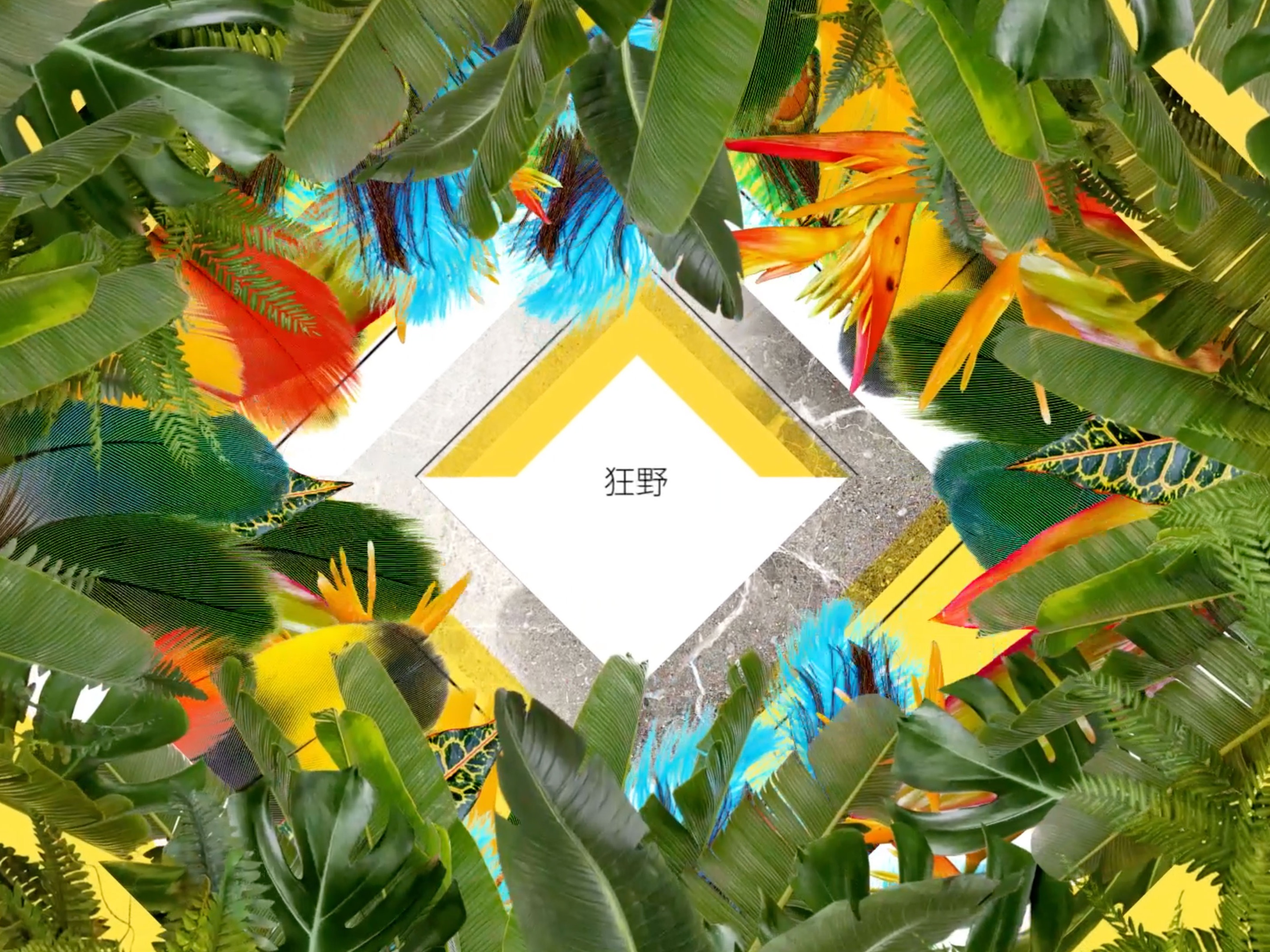 CT.LAB新作 | 东鹏世界印象品牌宣传片_CTlab数字体验-站酷ZCOOL