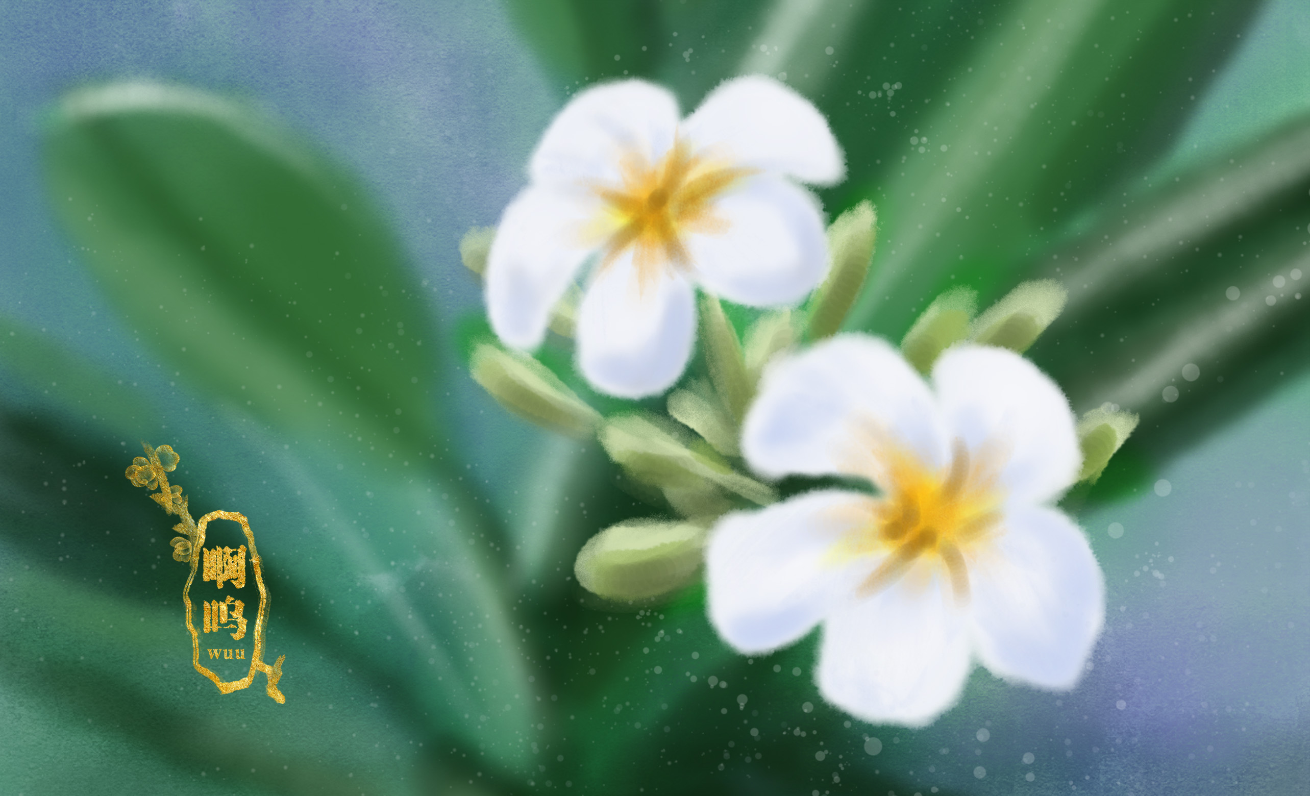 花卉速写练习_啊呜wuu-站酷ZCOOL