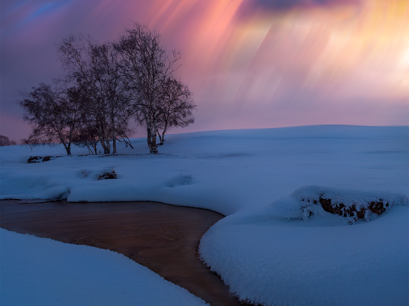 dfgdf_xiaodupi-站酷ZCOOL