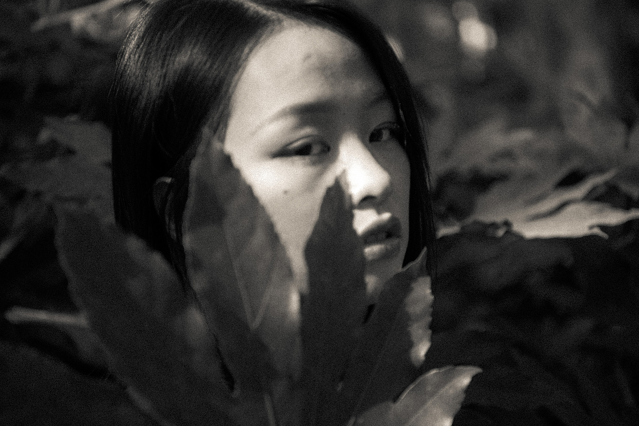 《寂静森林》_jc小弟-站酷ZCOOL