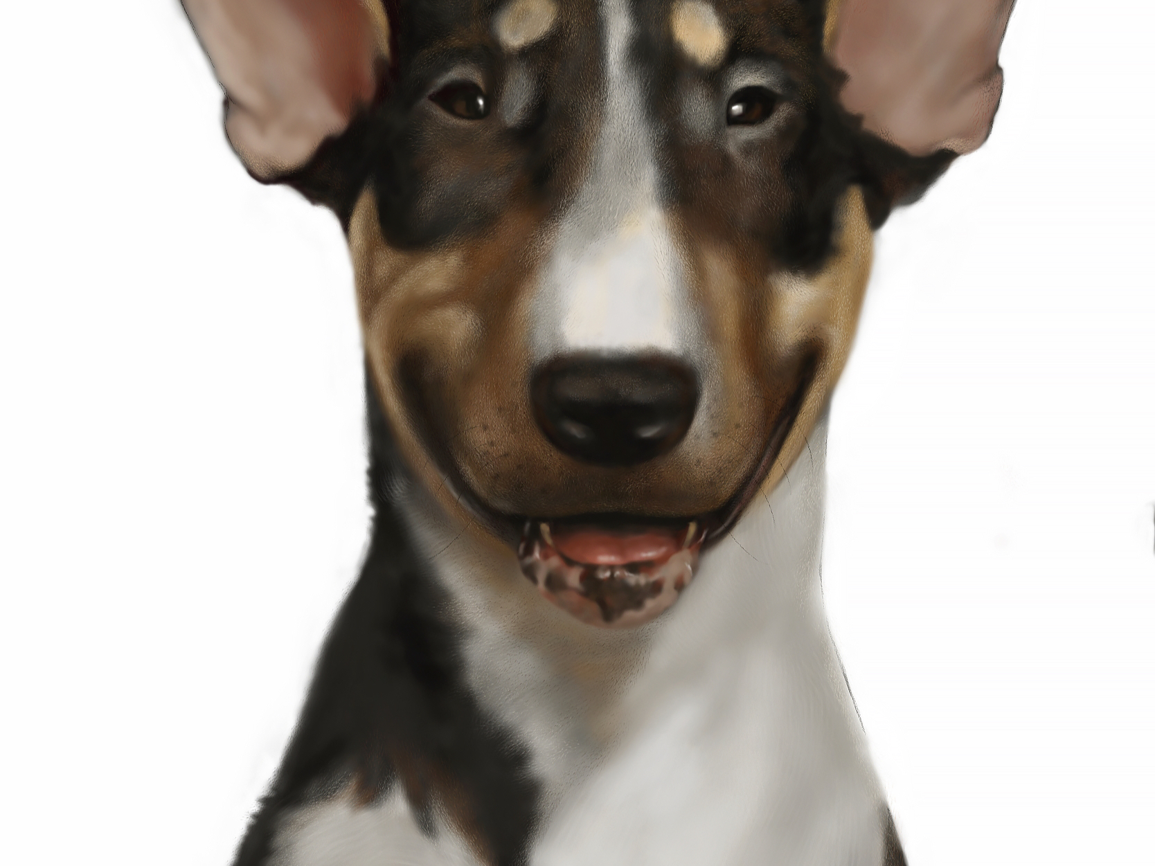 Diane Lin 超写实数字绘画艺术品 #Brustad Dog_Diva数字IP形象-站酷ZCOOL