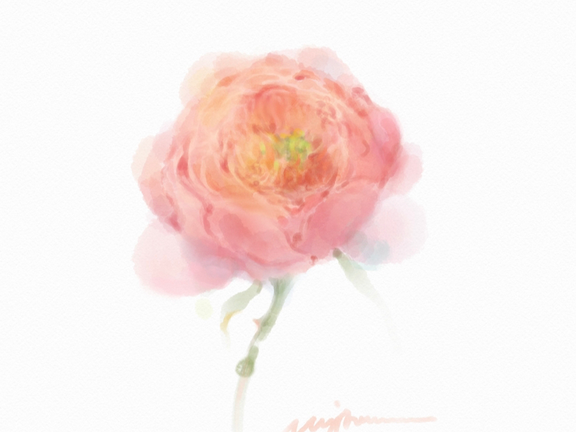 春天，送你一朵花_山大王666-站酷ZCOOL