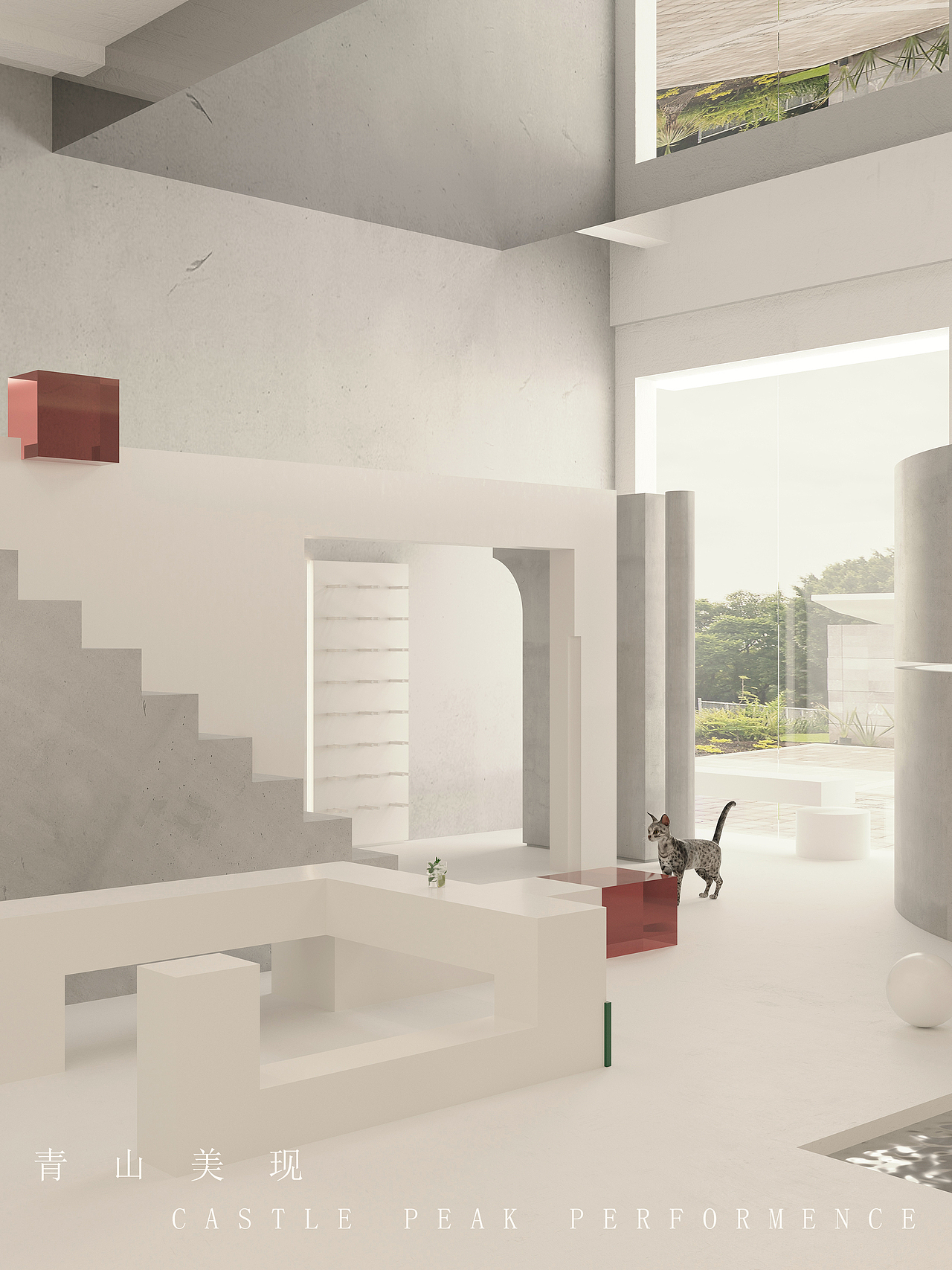 Cat Shop · 一家独特宠物店|空间|家装设计|青山美现_原创作品-站酷ZCOOL