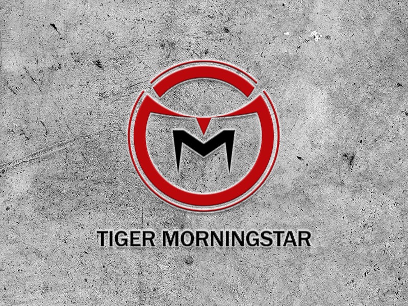 Tiger MorningStar_Anrol飘-站酷ZCOOL
