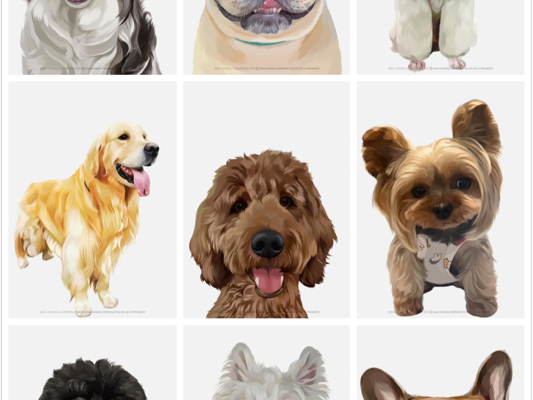 萌宠日记｜九宫格你最pick哪一只_山茶始開-站酷ZCOOL