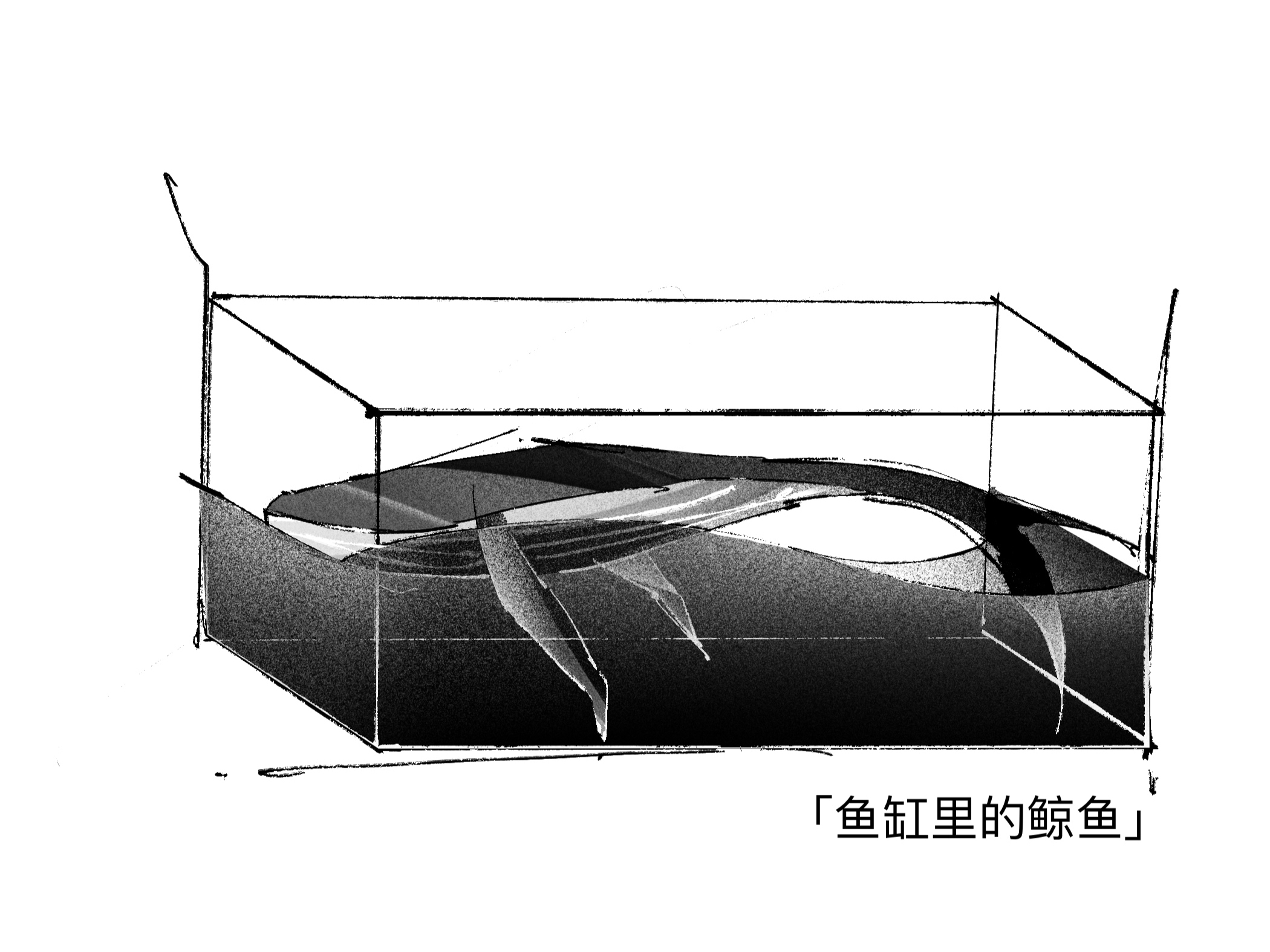 鱼缸里的鲸鱼_万青ET-站酷ZCOOL