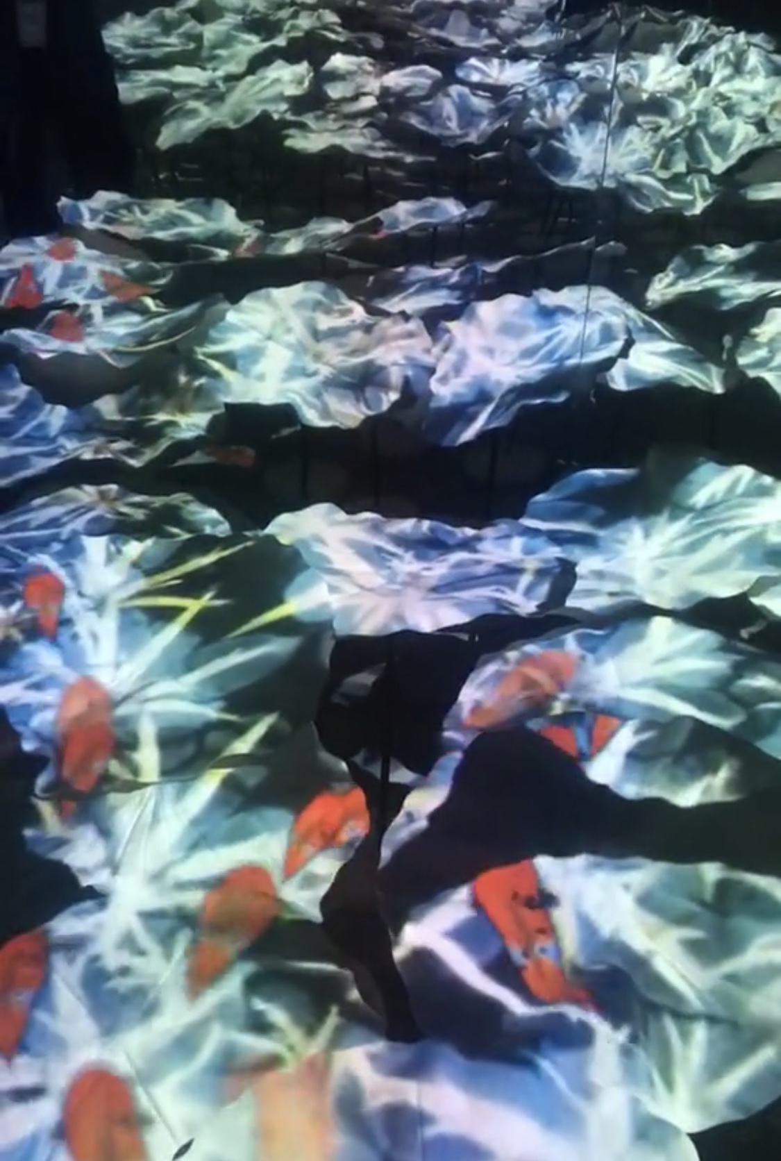 文旅夜游全息荷塘光影秀_TMTT全息光影-站酷ZCOOL