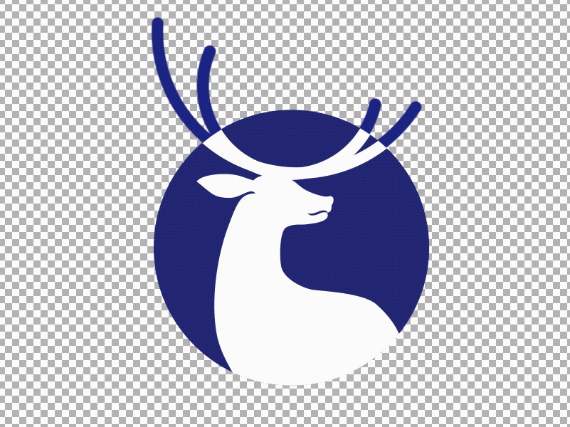 LuckinCoffee瑞幸咖啡LOGO动画_马保车-站酷ZCOOL