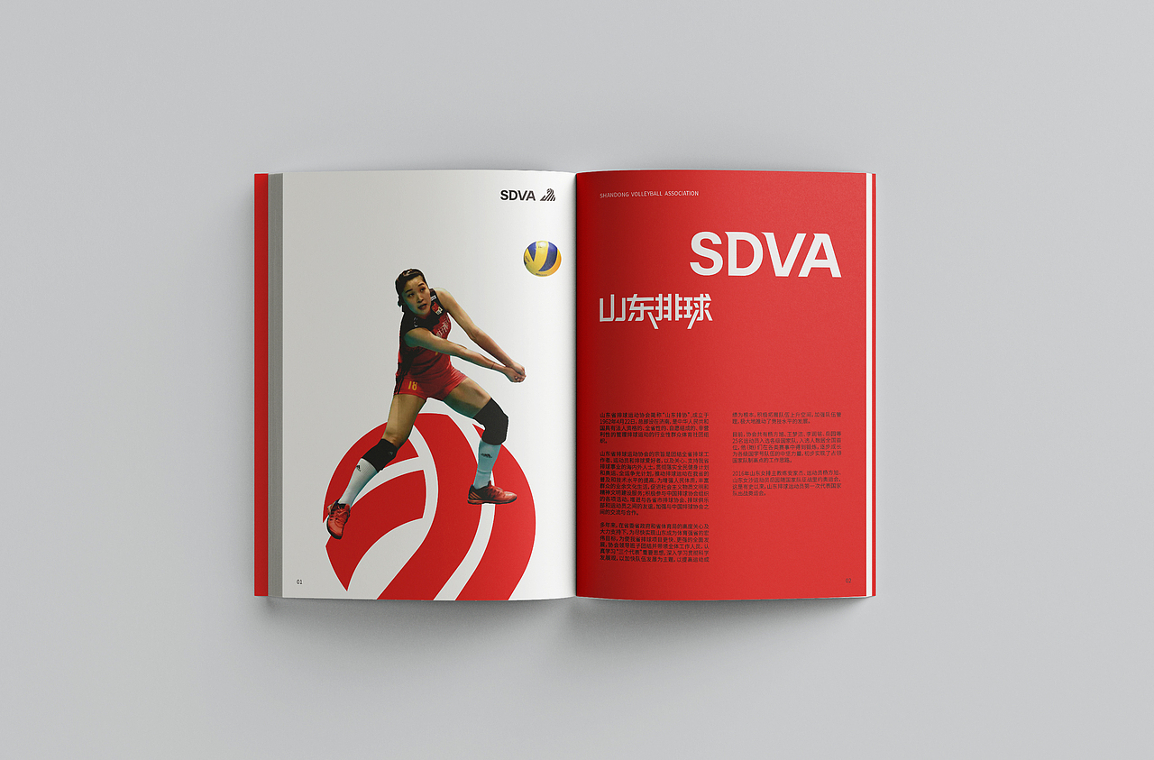 SDVA 排球运动协会视觉识别设计|平面|品牌|Wegnehmen_原创作品-站酷ZCOOL
