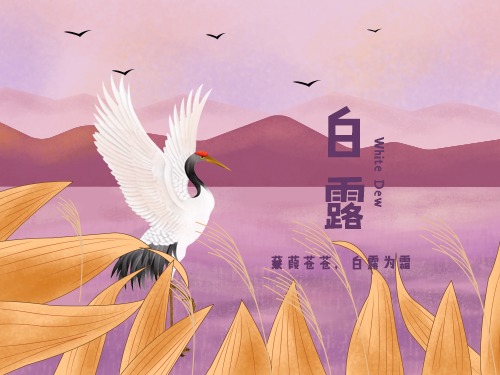 节气_Lychee阿-站酷ZCOOL