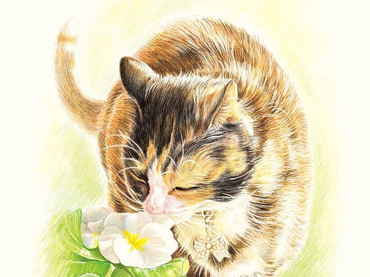 现在捡起曾经的笔！_響炁-站酷ZCOOL