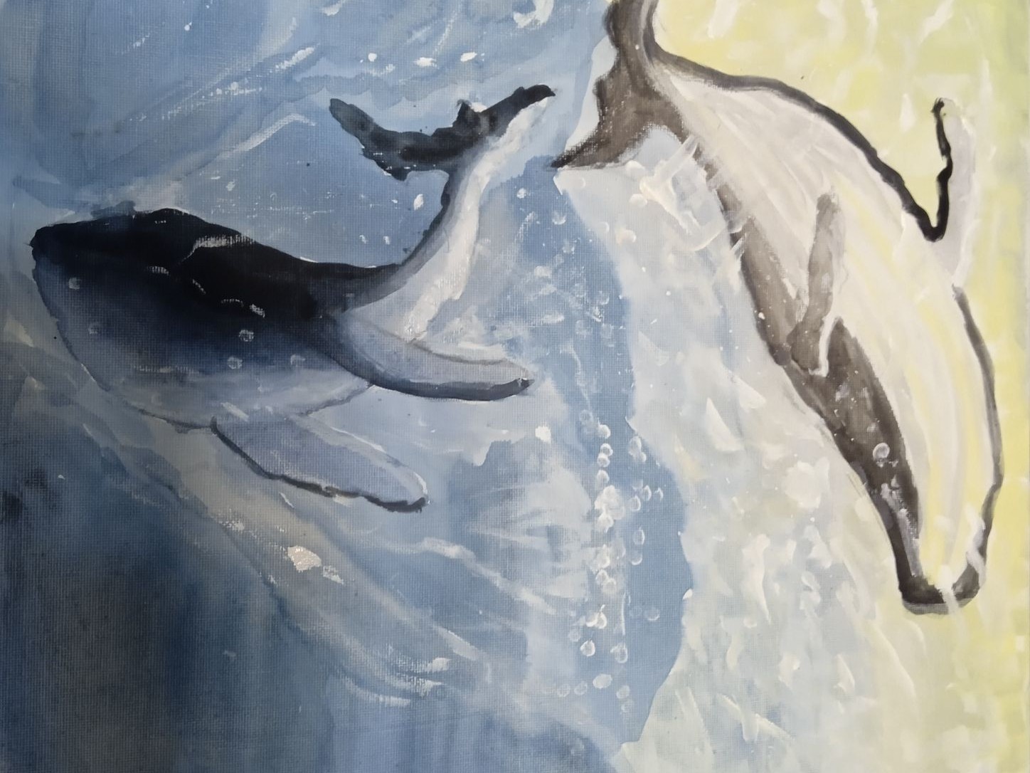 鲸_Z735767209-站酷ZCOOL