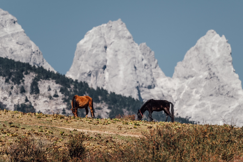 玉龙雪山｜耗牛坪_Chris_Photograph-站酷ZCOOL
