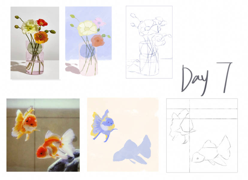 打卡DAY 7#色彩派对30天#@色彩派对30天 _白米稀饭Bai-站酷ZCOOL