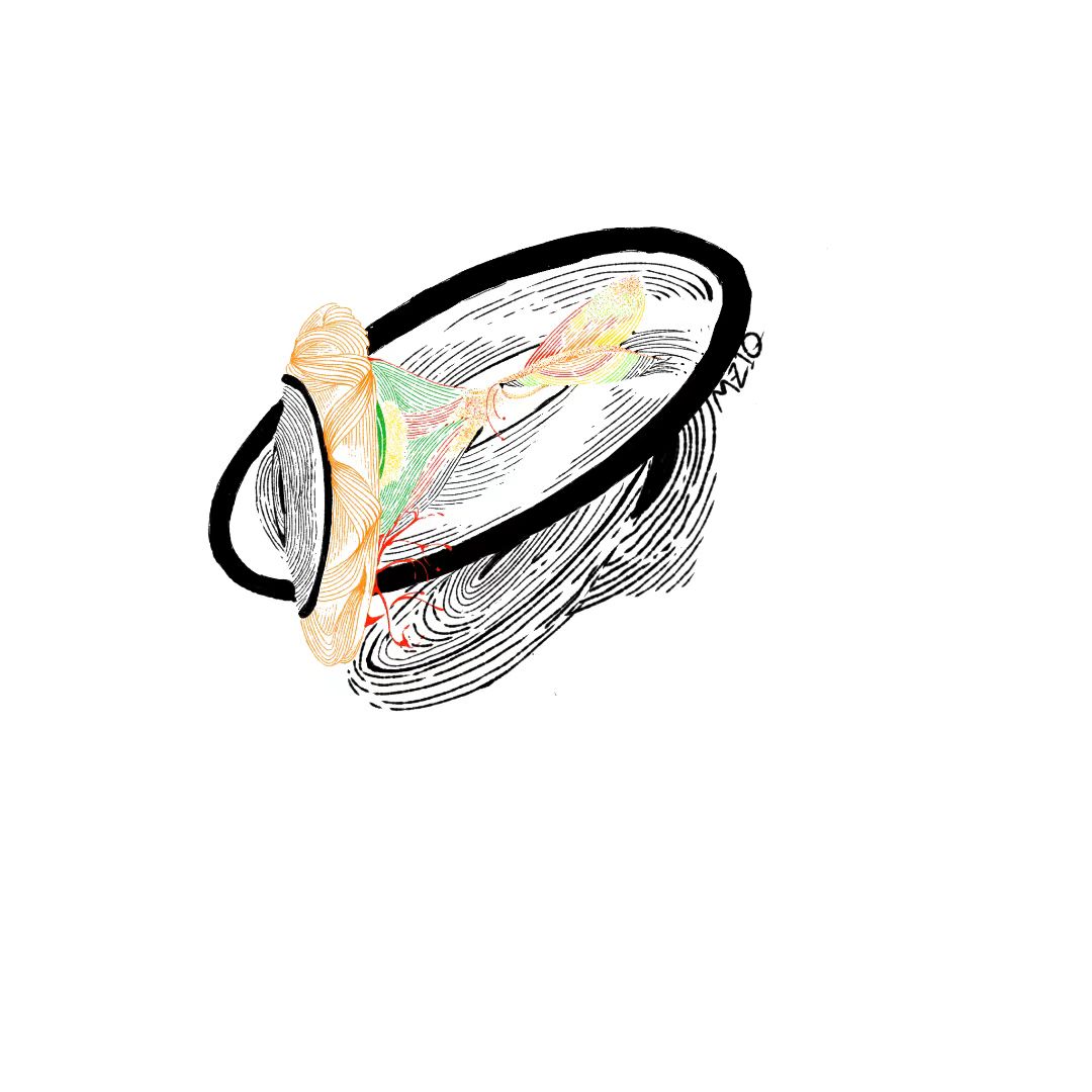 无题_MZIQ-站酷ZCOOL