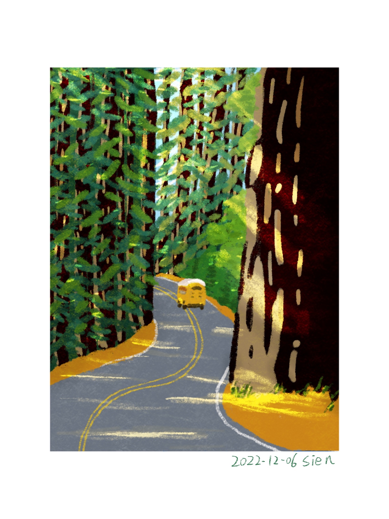 森林练习_离弦的兔子-站酷ZCOOL