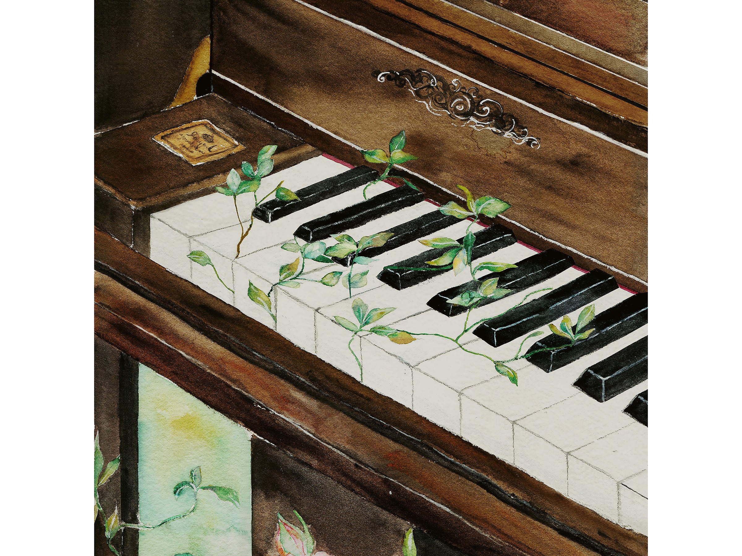 插画练习《万物生长》_BRILTAIN-站酷ZCOOL