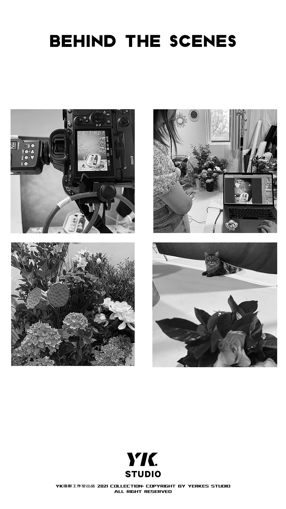 蜂花洗护套装_YK_STUDIO-站酷ZCOOL