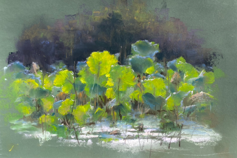 荷塘_RJ贰玖-站酷ZCOOL