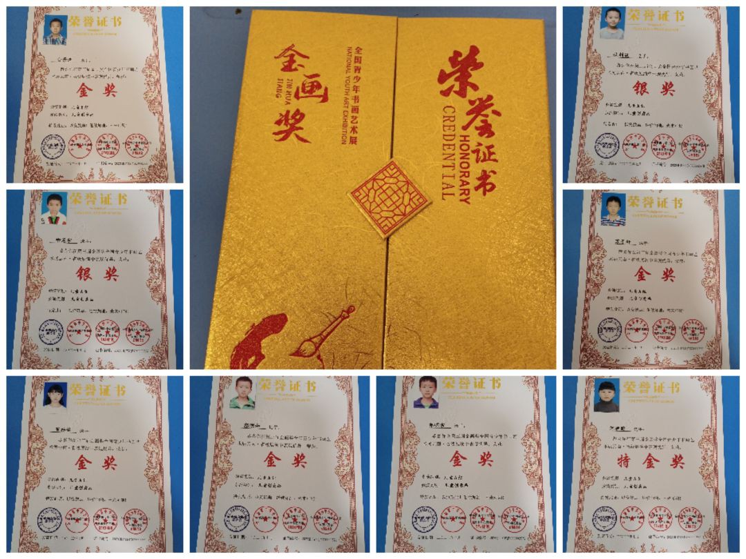 金画奖云南总决赛证书_阎少龙-站酷ZCOOL