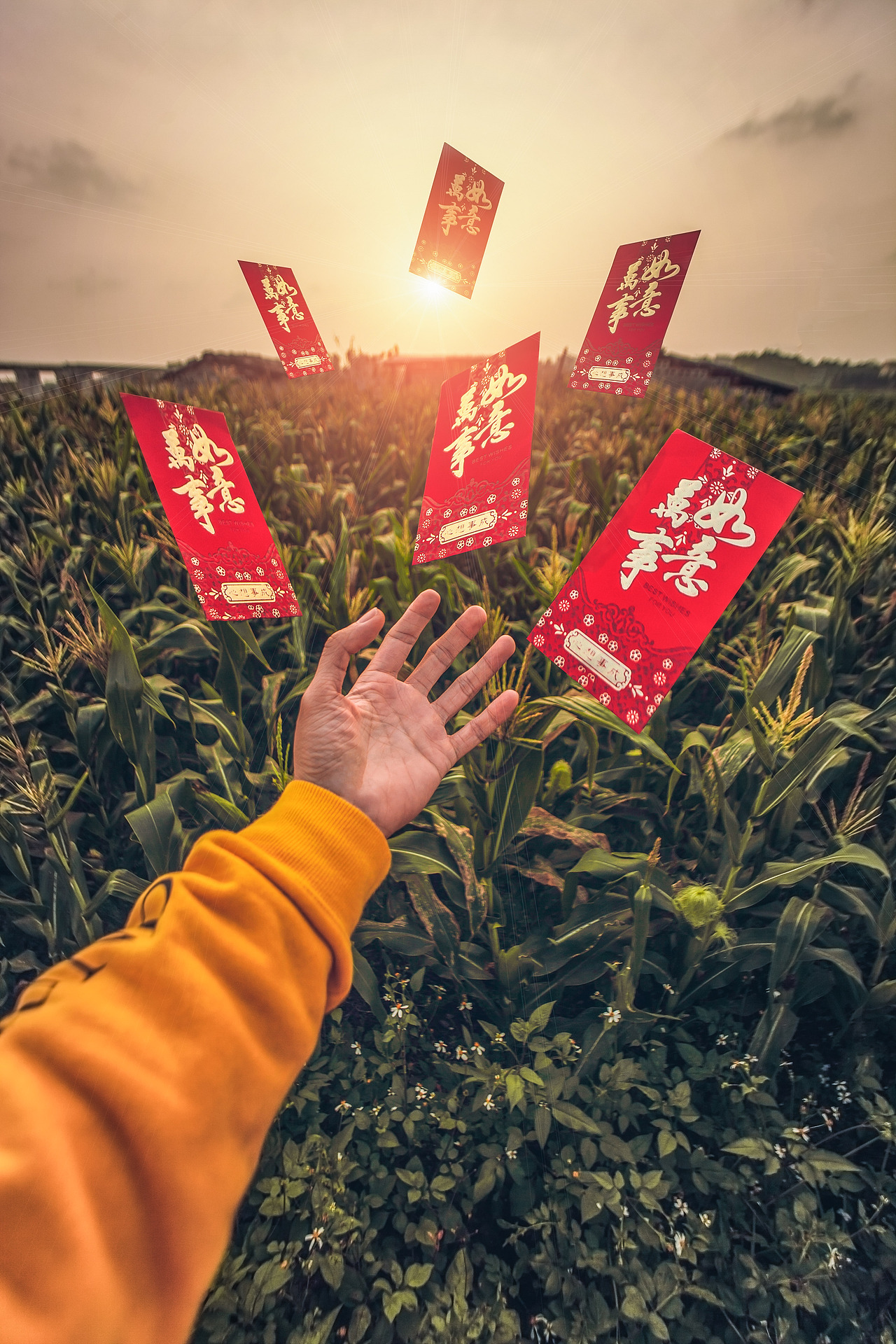 带你进入我的科幻世界！_GaryMonkey-站酷ZCOOL