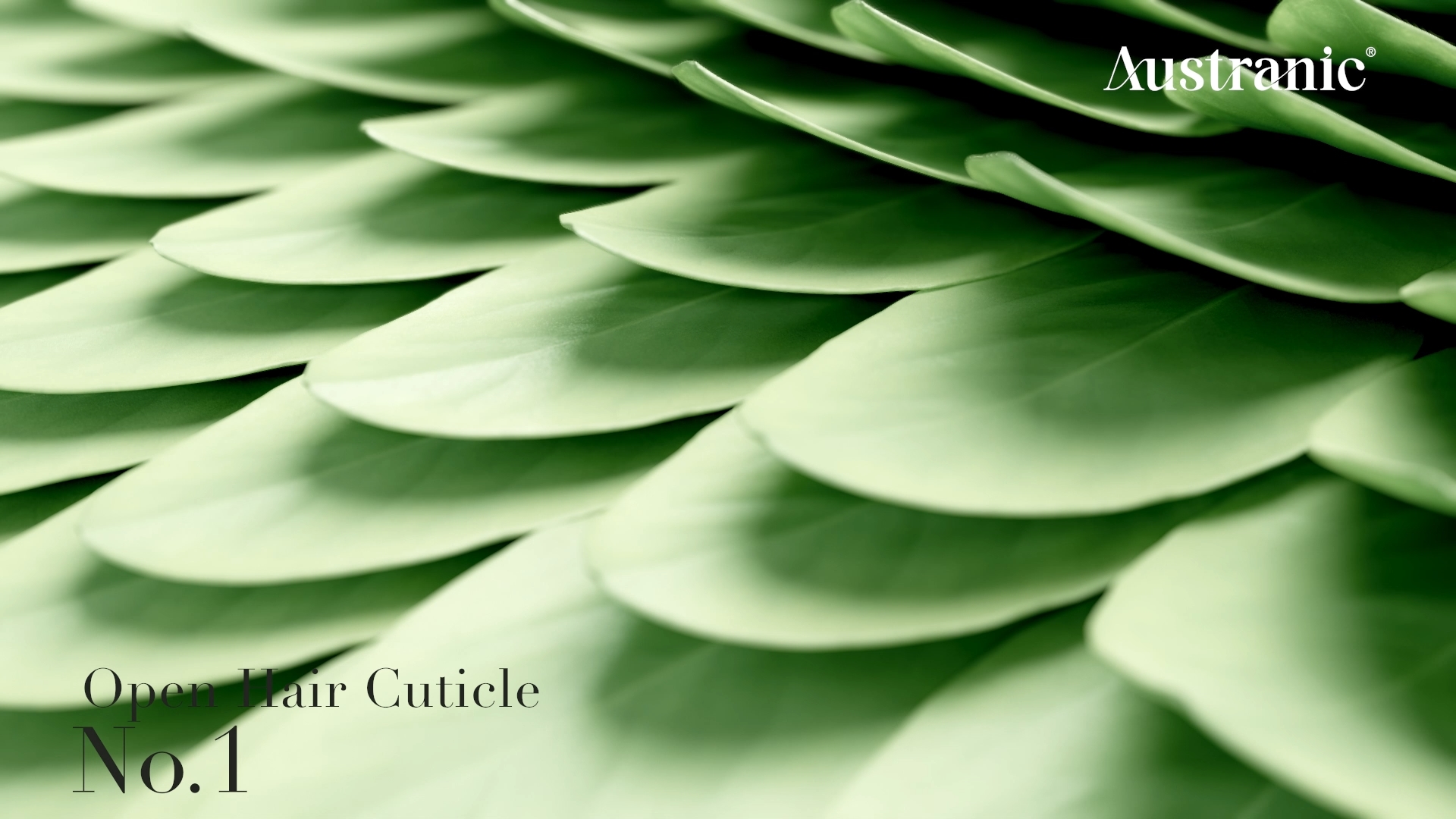 Austranic 系列_Wei锦_VFX-站酷ZCOOL