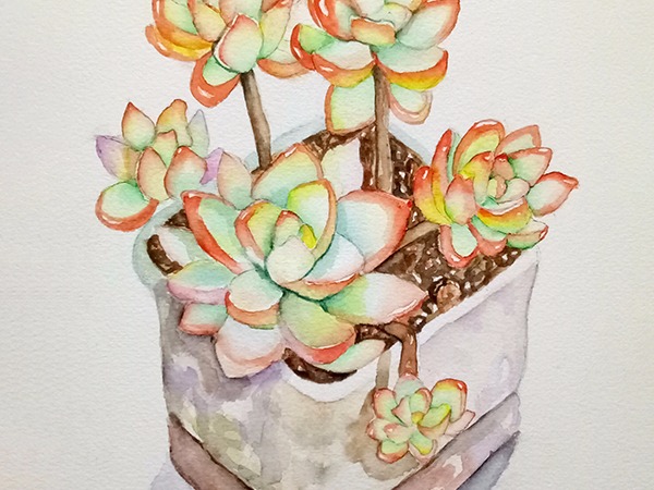 植物_薇ViVier-站酷ZCOOL