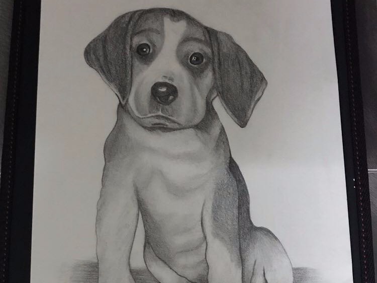 练习_xiaowu吴-站酷ZCOOL