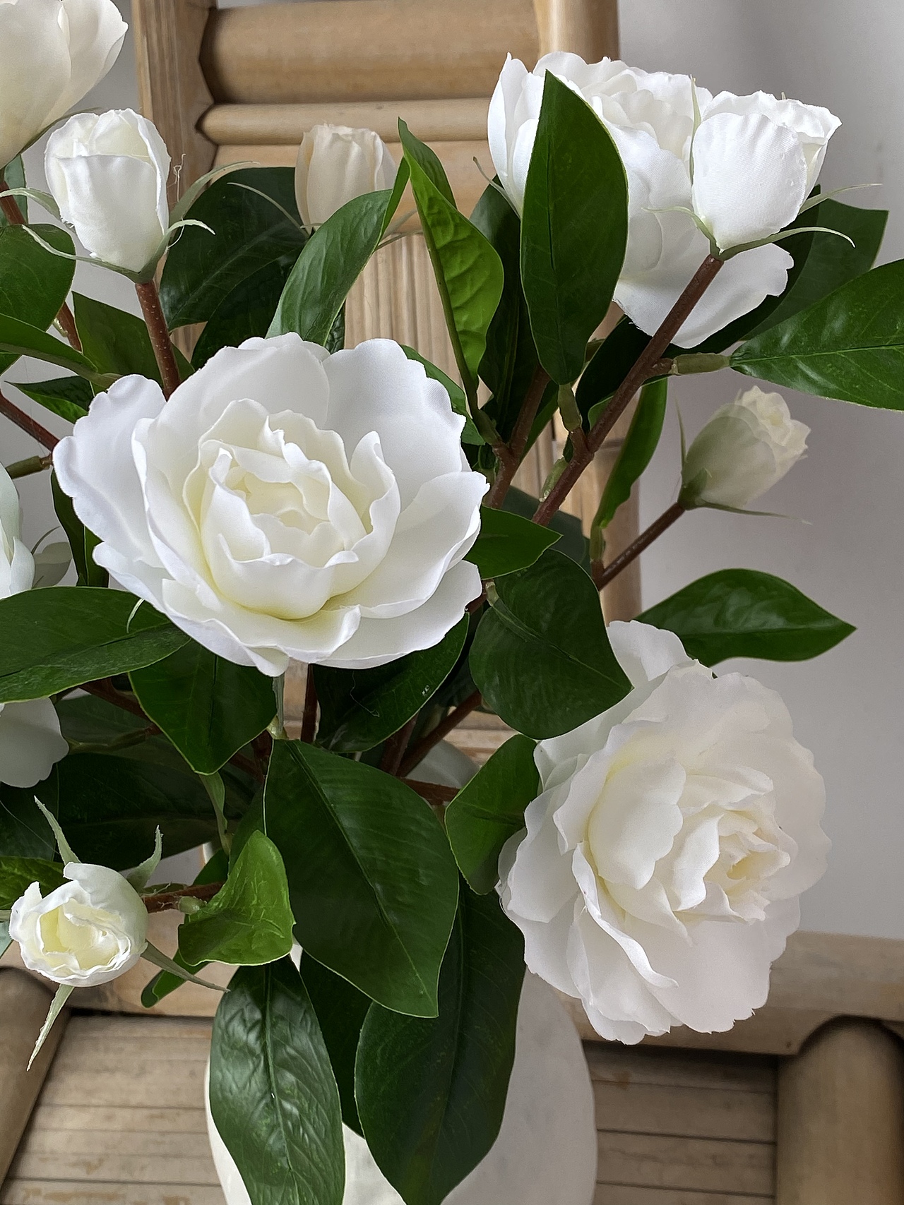 一早收到顺丰寄来的栀子花，好开心[z666]_萩山摄影-站酷ZCOOL