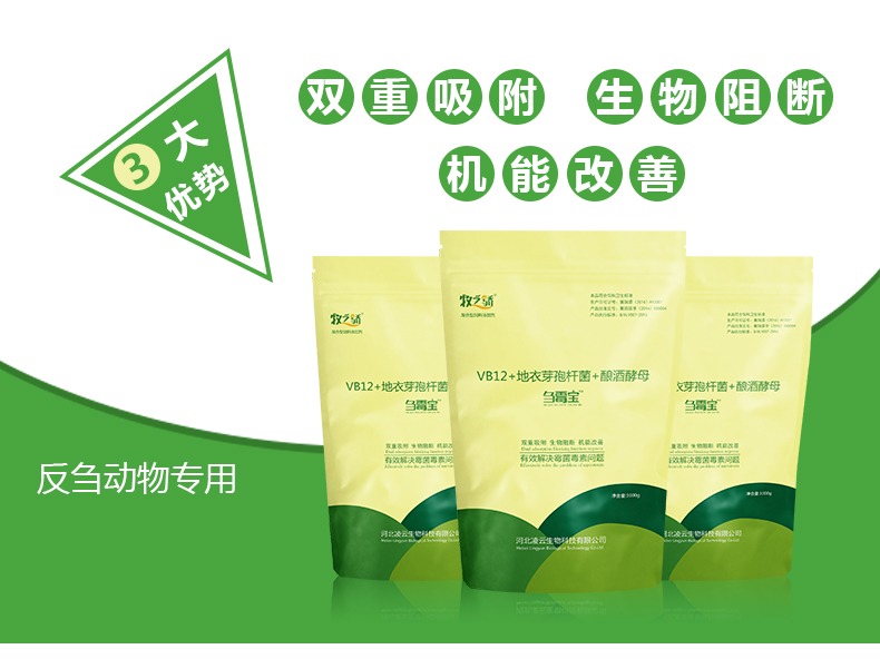 详情页_琳曼linn-站酷ZCOOL