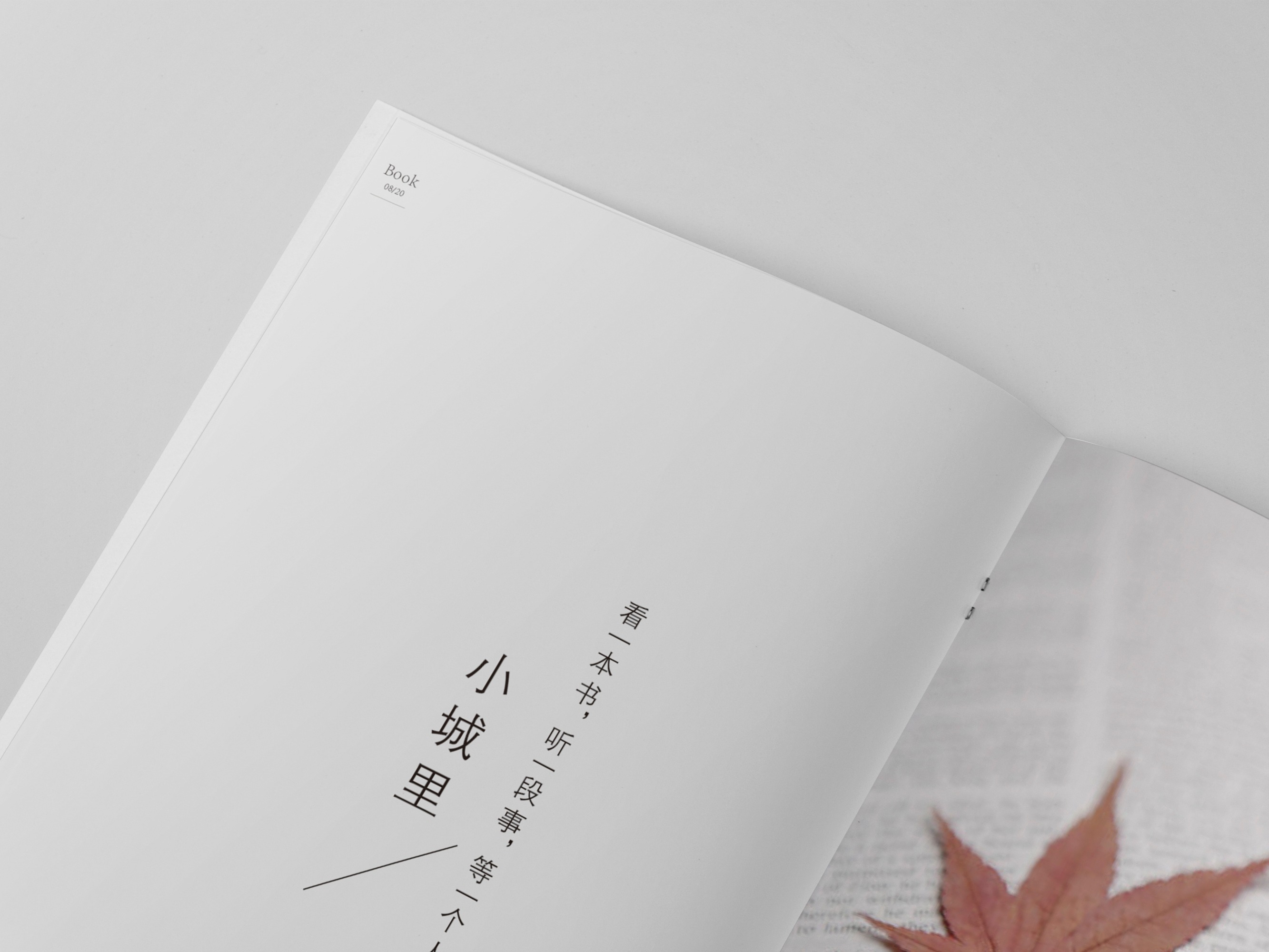 小城里，读一卷书，听一段事，等一个人。_夏天summper-站酷ZCOOL