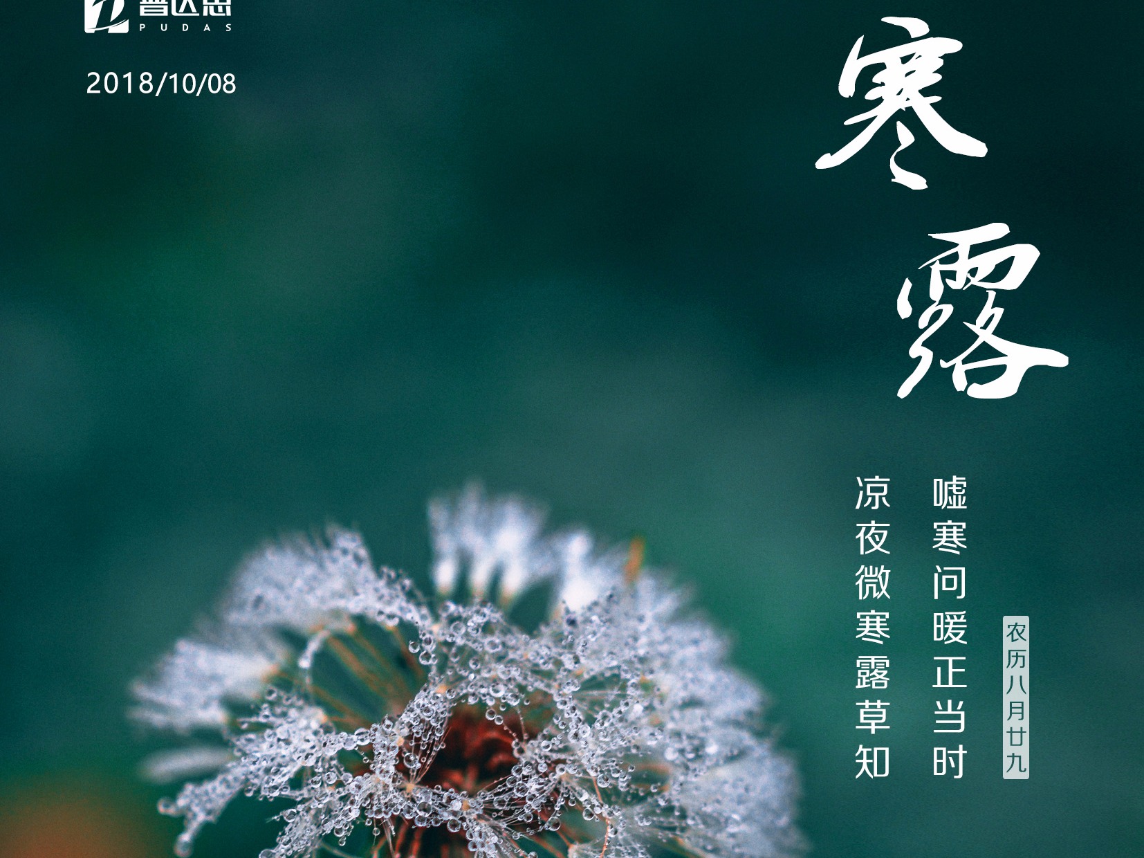 2018-寒露_我们是乙方-站酷ZCOOL